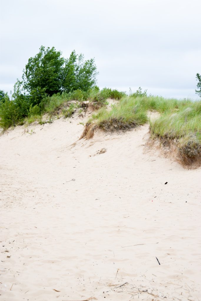 A Tour of Baldwin and Northwest Michigan – With Wonder and Whimsy