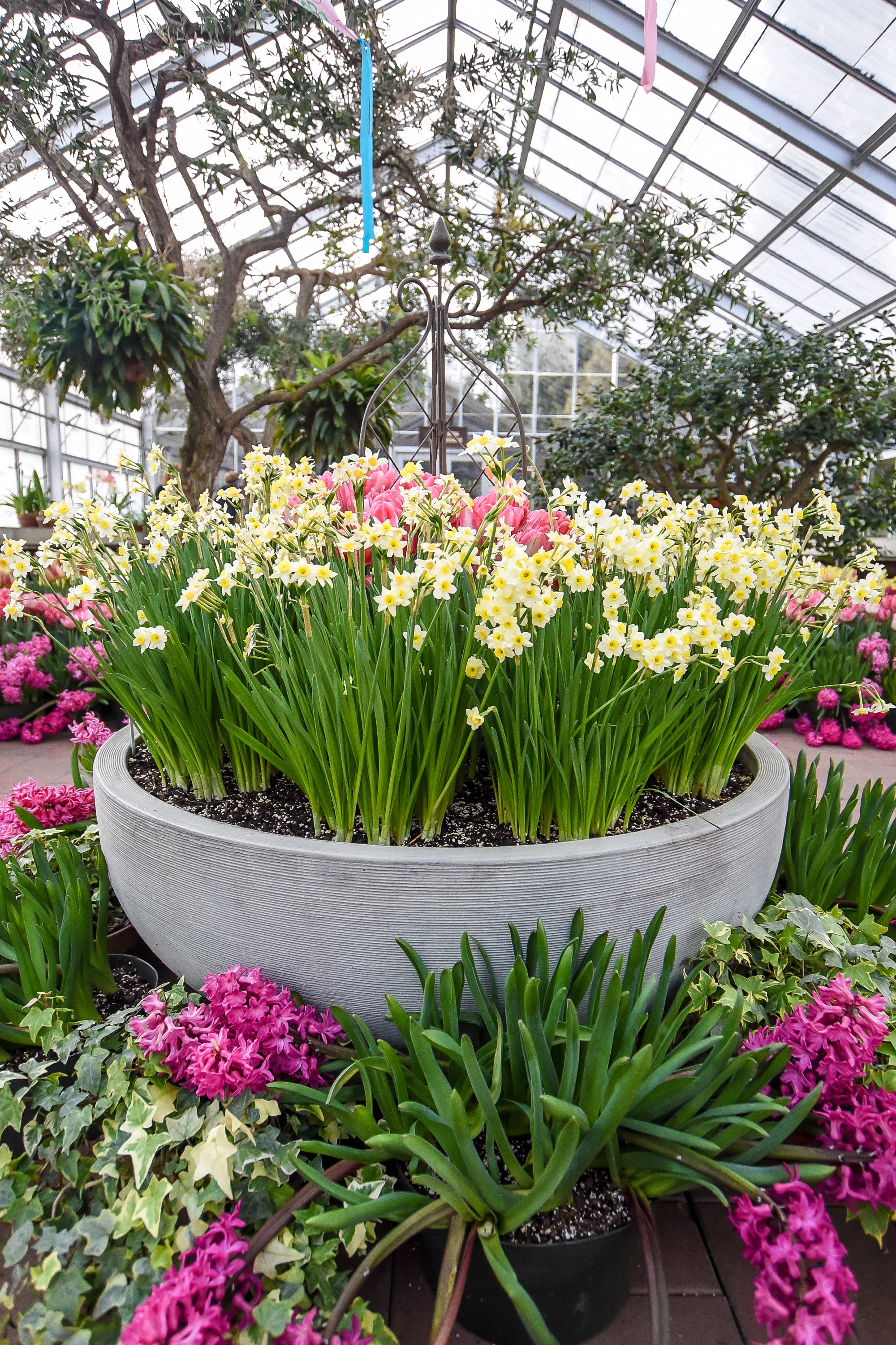 10 Ways to Make the Most of a Garden Conservatory Visit – With Wonder ...