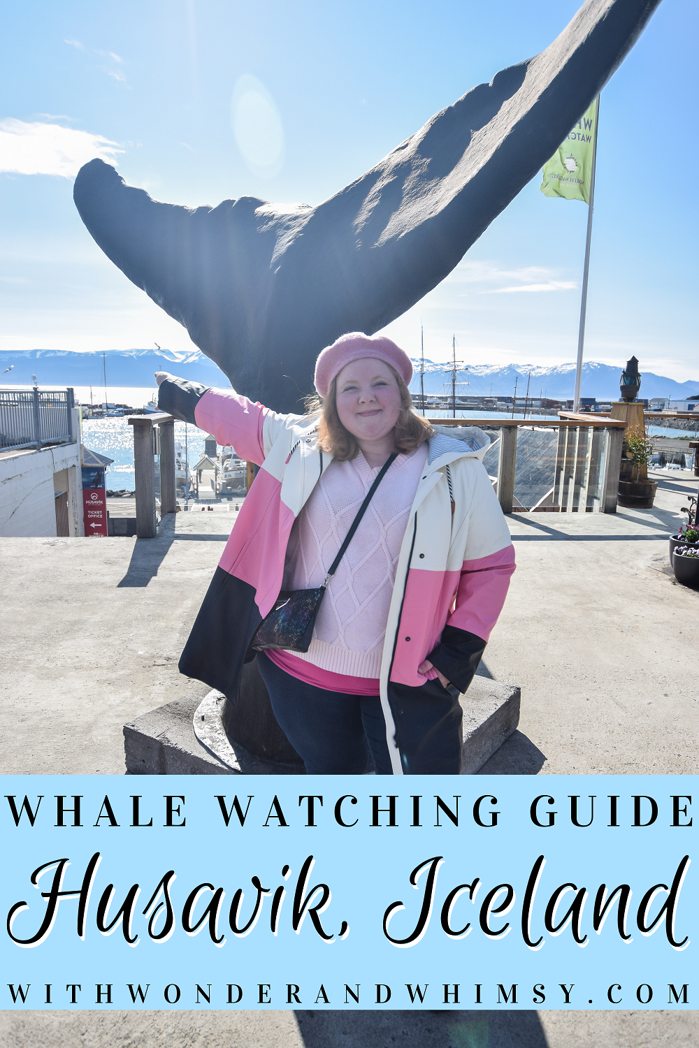 Whale Watching Guide for Husavik, Iceland – With Wonder and Whimsy