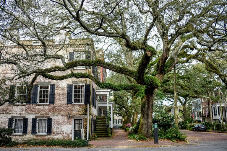 A Tour of Savannah’s Historic District – With Wonder and Whimsy