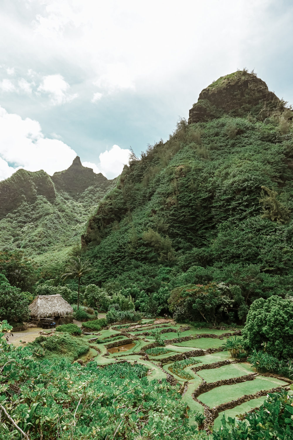 Limahuli Botanical Garden Kauai Travel Blog Review (16) - With Wonder ...