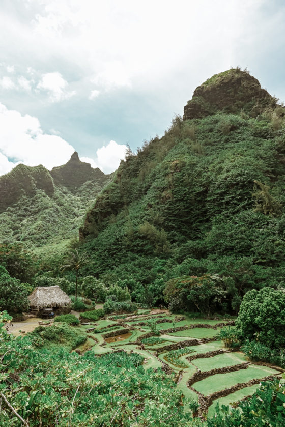 Limahuli Botanical Garden Kauai Travel Blog Review (16) - With Wonder ...
