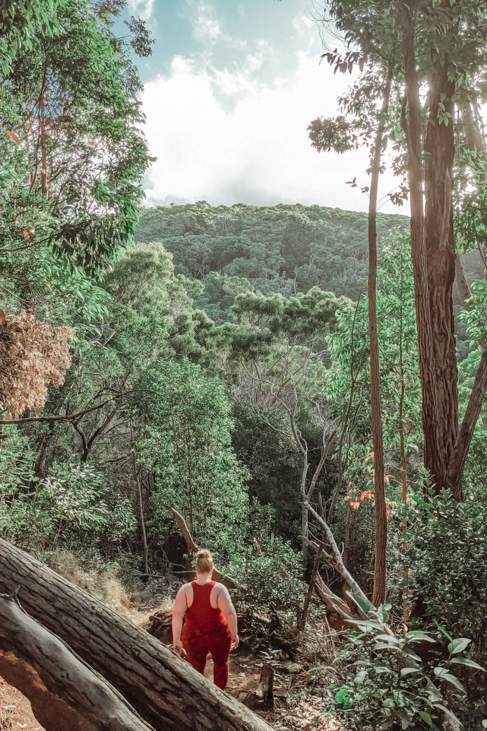 Plus Size Activewear to Pack for Hawaii (11) - With Wonder and Whimsy