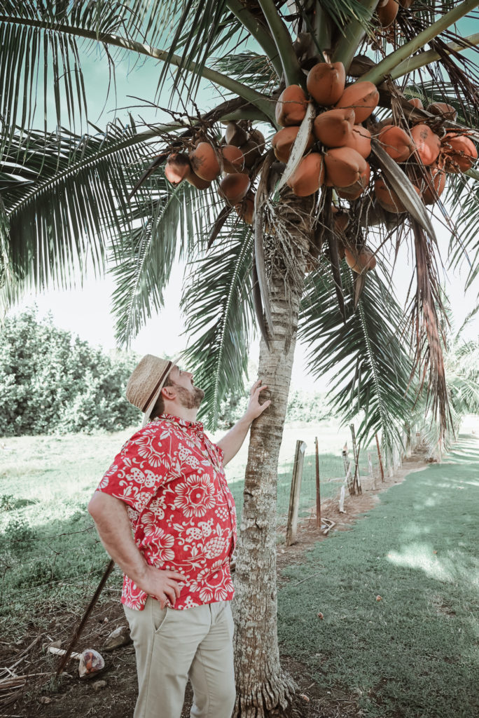Plus Size Kauai Hawaii Vacation Outfits Fashion Blog (11) - With Wonder ...