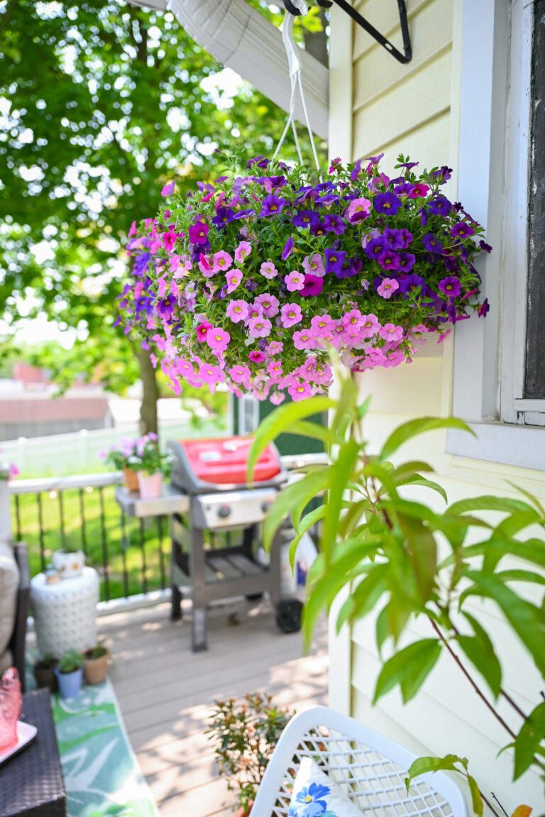 Small Deck Decorating Ideas – With Wonder and Whimsy