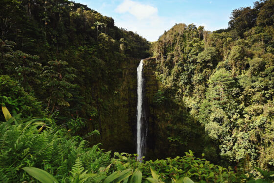 Akaka Falls State Park Big Island Hawaii (5) - With Wonder and Whimsy