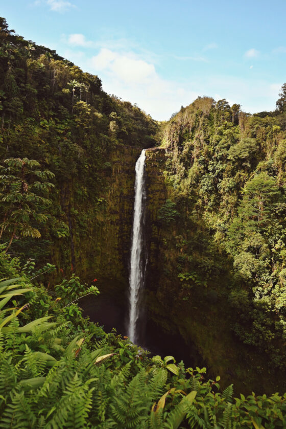 Akaka Falls State Park Big Island Hawaii (8) - With Wonder and Whimsy