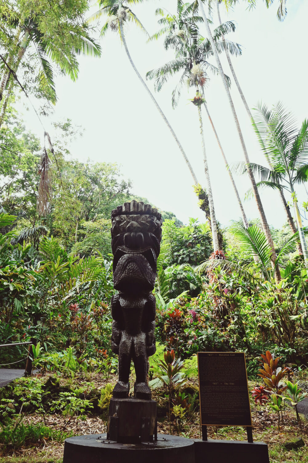 Hawaii Tropical Bioreserve and Garden Big Island Travel BLog (9) - With ...