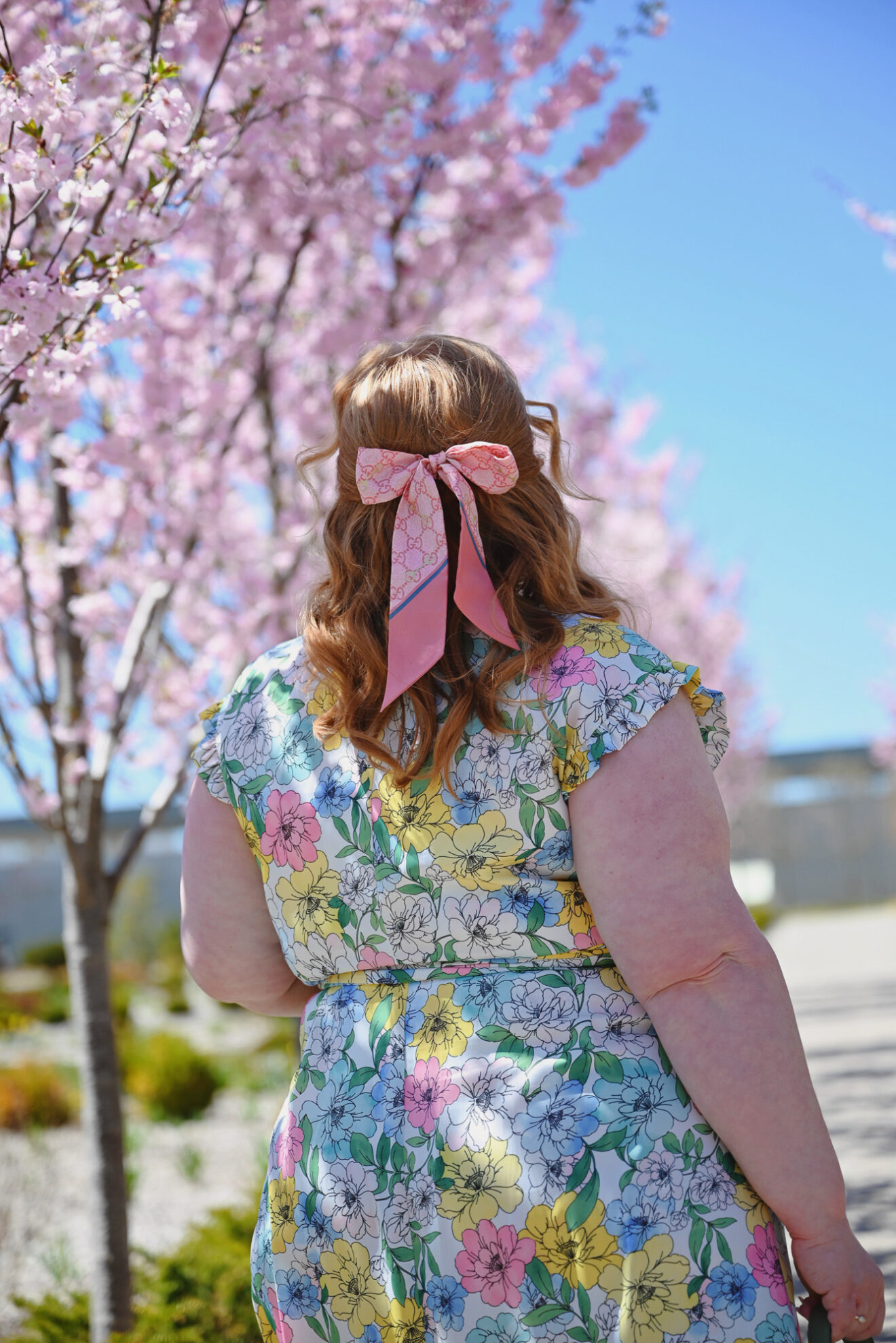 Seeing the Cherry Blossoms at Meijer Gardens – With Wonder and Whimsy