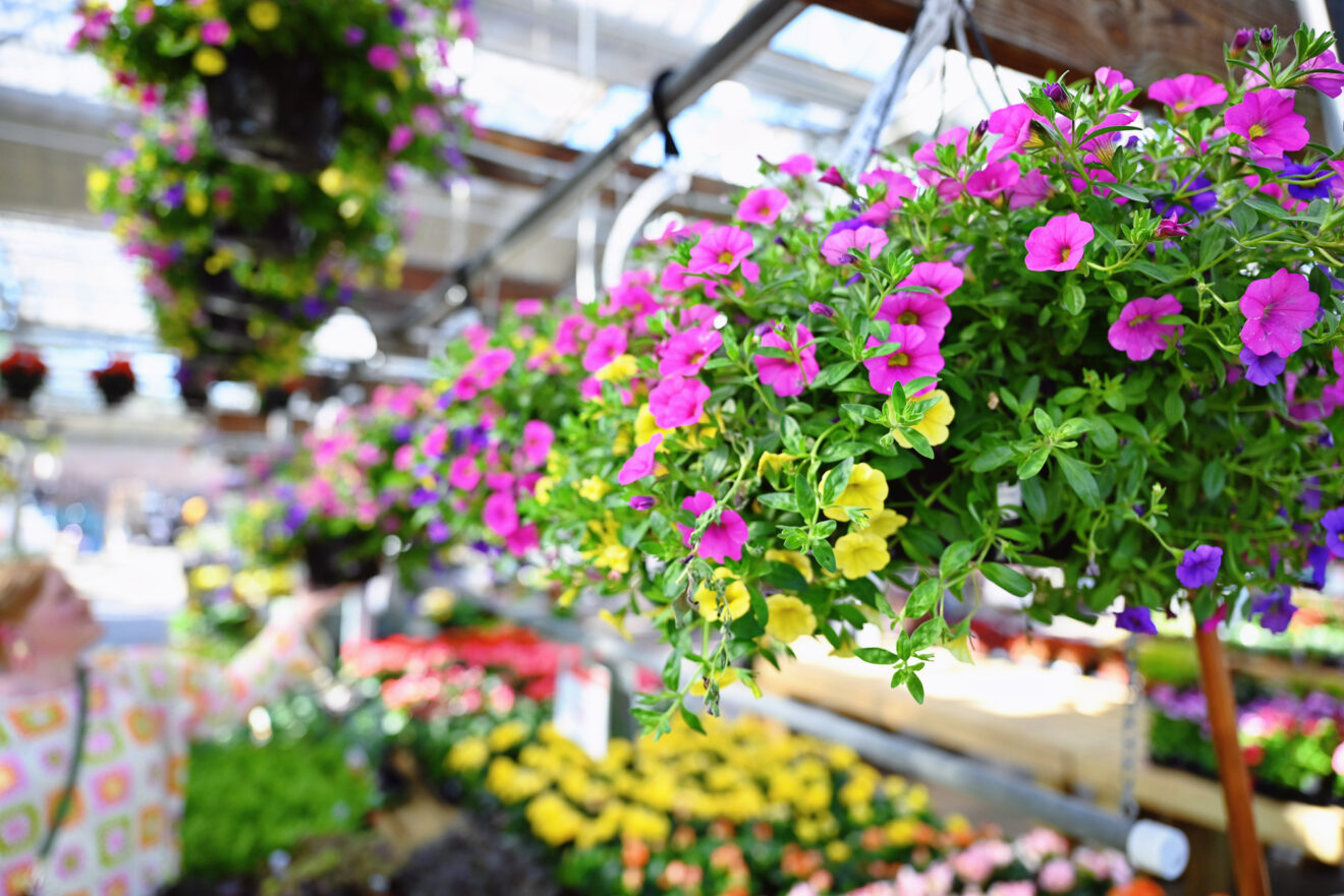 Decorating Our Patio with Flowers and Decor from English Gardens ...