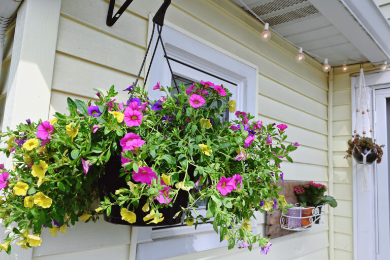 Decorating Our Patio with Flowers and Decor from English Gardens ...